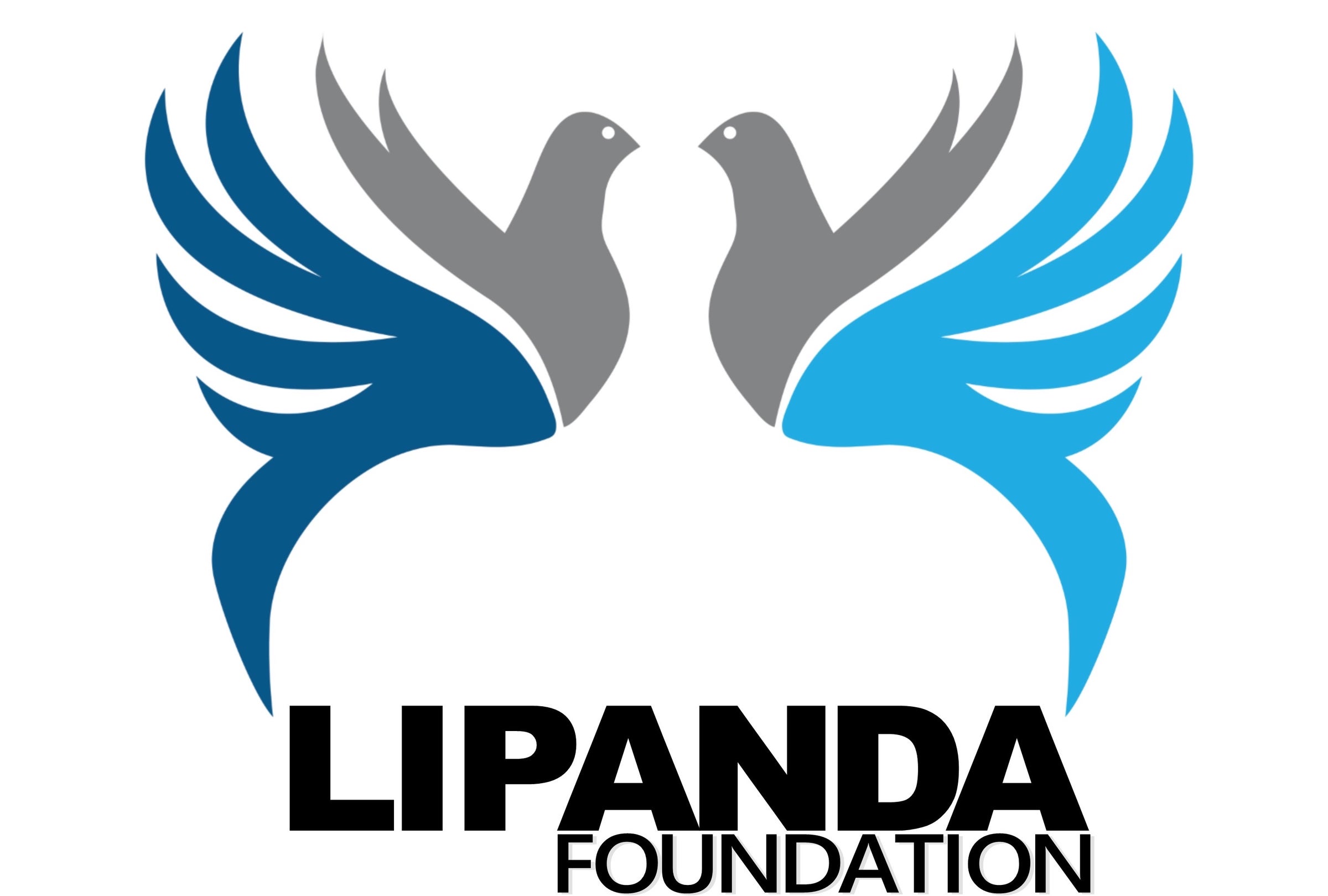 About | lipanda foundation